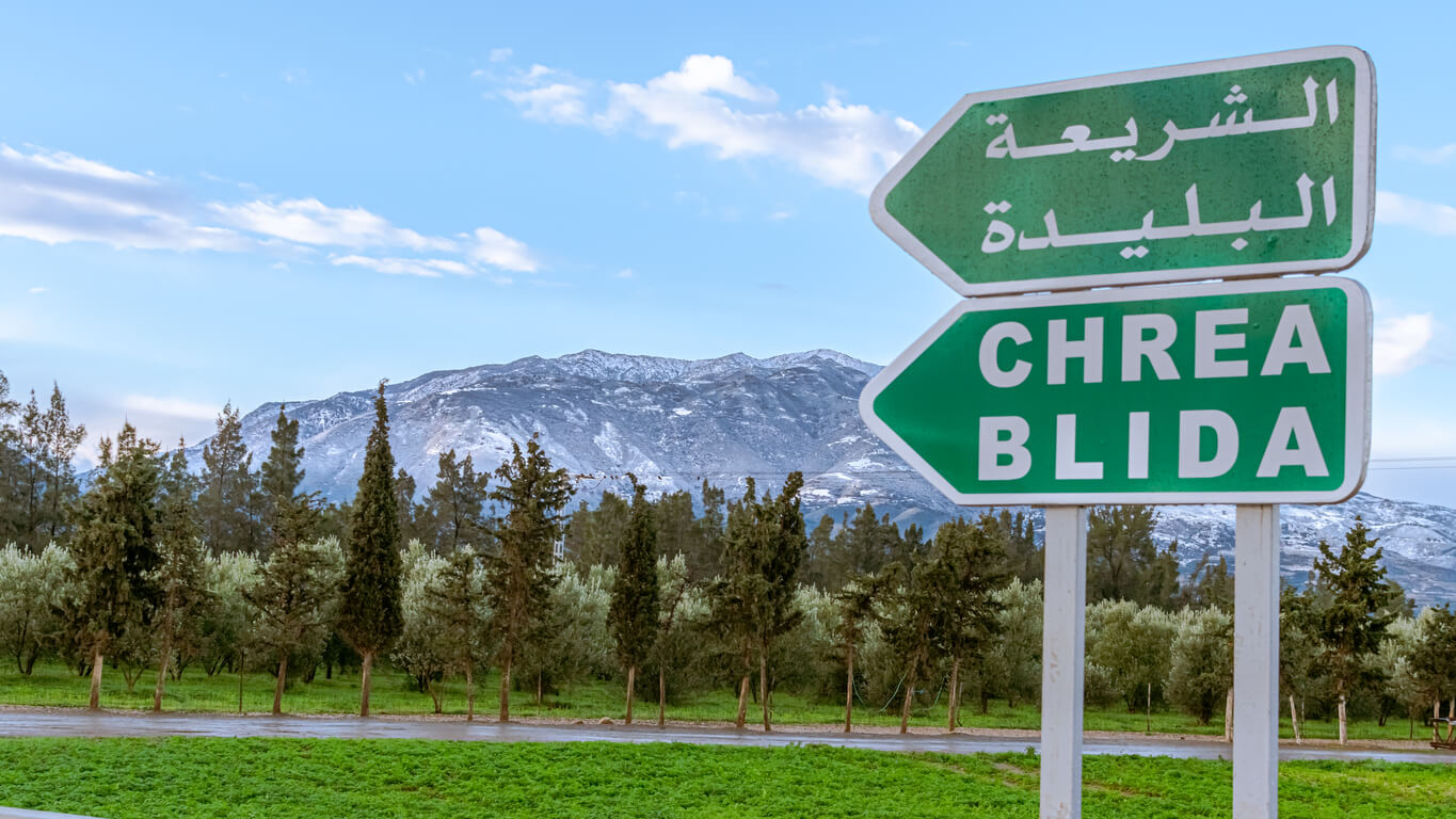 Météo Blida : Prévisions météo voyage à 14 jours pour Blida, Algérie