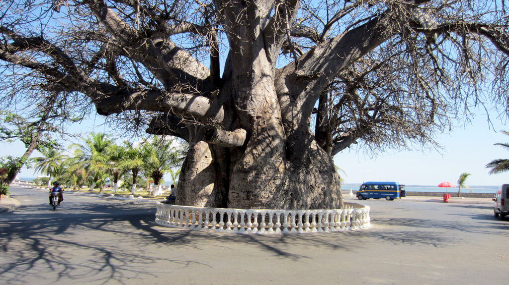 Météo Majunga : Prévisions météo voyage à 14 jours pour Mahajanga ...